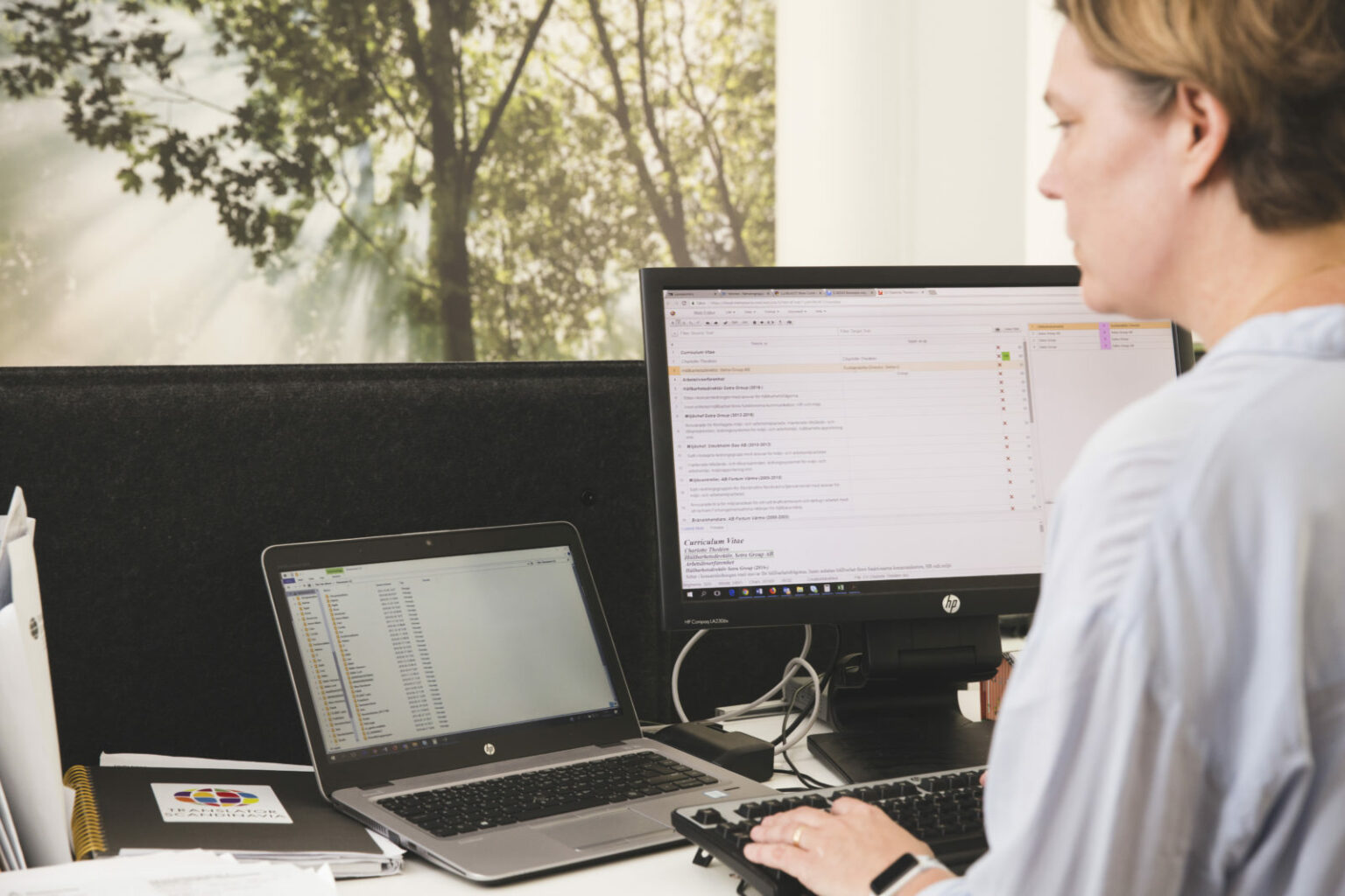 Translation platform - Translator Scandinavia